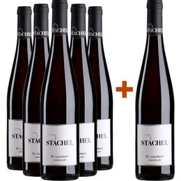 Weingut Erich Stachel 5+1 Paket Saint Laurent 2022 Trocken - Pfalz &ndash; Probierpaket Qualit&auml;tswein