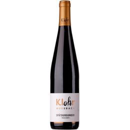 Weingut Edgar Klohr Sp&auml;tburgunder 2021 Trocken - Pfalz &ndash; Rotwein Qualit&auml;tswein