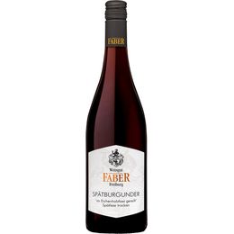 Weingut Faber Alte Rebe Spätburgunder 2020 Trocken - Merdinger Bühl Baden – Rotwein Spätlese