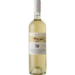 Poggio Scalette Chiara Aurora Alta Valle della Greve Cuv&eacute;e 2024 Trocken - Toskana &ndash; Wei&szlig;wein IGP