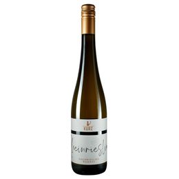 Weingut Kurz Rhein Reserve Riesling 2022 Trocken - Edelsbergen Nieder&ouml;sterreich &ndash; Wei&szlig;wein Qualit&auml;tswein