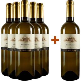 Teresa Raiz 5+1 Paket Le Marsure Friuli Pinot Grigio 2024 Trocken - Friaul &ndash; Probierpaket DOC