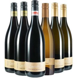 Weingut Lentsch - Pinots vom Leithaberg Pinot-Paket Burgenland &ndash; Probierpaket Qualit&auml;tswein
