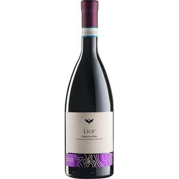 Vini Domanda Lice d'Alba Nebbiolo 2019 Trocken - Piemont &ndash; Rotwein DOC