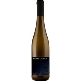 lichti & astroh COEUR Riesling 2022 Trocken - Pfalz &ndash; Wei&szlig;wein Pf&auml;lzer Landwein