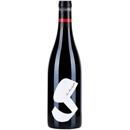 weingut glatzer Cuv&eacute;e Ried 2019 Trocken - Rosenberg Carnuntum DAC &ndash; Rotwein Qualit&auml;tswein