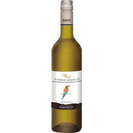 Markgr&auml;fler Winzer Markgr&auml;fler Winzer Silberberg Muskateller 2023 Lieblich - Baden &ndash; Wei&szlig;wein Qualit&auml;tswein