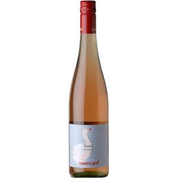 Weingut Eugen Wambsganß Weingut Eugen Wambsganß Cuvée 2023 Trocken - Pfalz – Rosé Qualitätswein