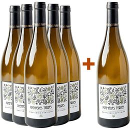 Maison Laudacius 5+1 Paket "Premi&egrave;res Terre" Montlouis sur Loire Chenin Blanc 2023 Trocken - &ndash; Probierpaket AOP