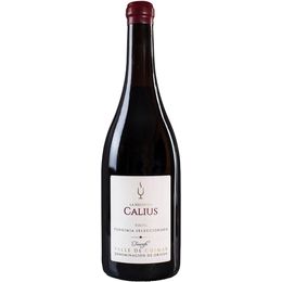 Bodega C&aacute;ndido Hern&aacute;ndez P&iacute;o Calius Tinto Vendimia Seleccionada Valle de G&uuml;imar DO Cuv&eacute;e 2018 Trocken - Kanarische Inseln &ndash; Rotwein DOP