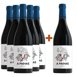 A Pachas Pack descuento 5+1 Reserva Madrid DO Tempranillo 2019 Trocken - &ndash; Probierpaket DOP
