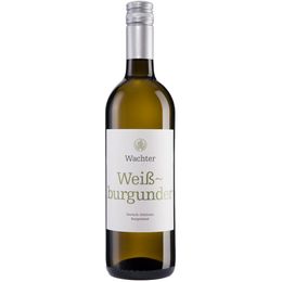 Wachter Wein Wei&szlig;burgunder 2025 Trocken - Burgenland &ndash; Wei&szlig;wein Qualit&auml;tswein