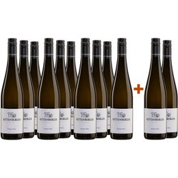 Weingut Kittenberger 10+2 Paket Sauvignon Blanc 2024 Trocken - Nieder&ouml;sterreich &ndash; Probierpaket Qualit&auml;tswein