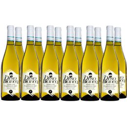 Tenuta Micoli Orso Bianco Abruzzo Paket Trebbiano 2021 Trocken - Abruzzen &ndash; Probierpaket DOC