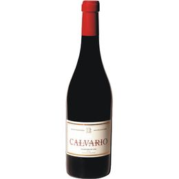 Finca Allende Calvario Rioja DOCa Cuv&eacute;e 2012 Trocken - gravas y piedras La &ndash; Rotwein DOP