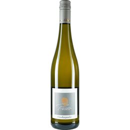 Wein/Sektgut Pirmin Wilhelm Grauburgunder 2025 Trocken - Maikammer Mandelh&ouml;he Pfalz &ndash; Wei&szlig;wein Sp&auml;tlese