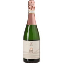 Cascina Carl&ograve;t Iris Asti Spumante Moscato Bianco Mild - Piemont &ndash; Perl- & Schaumwein DOCG
