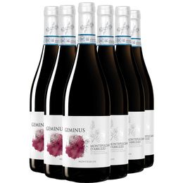Monteselva Geminus D'Abruzzo Kennenlern-Paket Montepulciano 2024 Trocken - Abruzzen &ndash; Probierpaket DOC