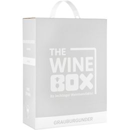 Jechtinger Weinmanufaktur eG THE WINE BOX 3,0 L Grauburgunder 2024 Trocken - Baden – Weißwein Qualitätswein