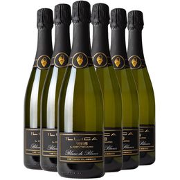 Azienda Vitivinicola Illica 1919 Il Centenario Blanc de Blancs-Paket Cuv&eacute;e 2019 - Emilia Romagna &ndash; Probierpaket Vino Generico
