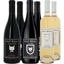 Domaine du Chat Blanc Kennenlern-Paket Trocken - Rh&ocirc;ne &ndash; Probierpaket Diverse