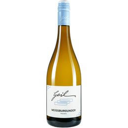 Weingut Helmut Geil Wei&szlig;burgunder 2025 Trocken - Rheinhessen &ndash; Wei&szlig;wein Qualit&auml;tswein