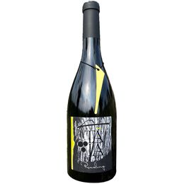 Cantina Taia Oltrep&ograve; Pavese Riesling 2022 Trocken - Lombardei &ndash; Wei&szlig;wein DOC