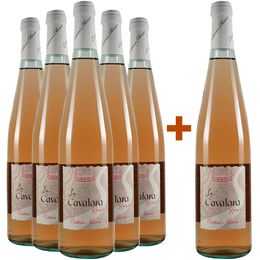 Cottini Marco 5+1 Paket La Cavalara ros&eacute; Cuv&eacute;e - Venetien &ndash; Probierpaket Vino Generico