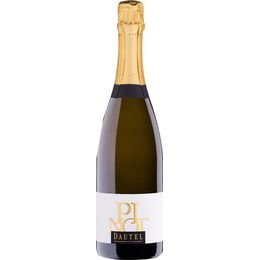 Weingut Dautel Pinot Sekt brut nature Sp&auml;tburgunder 2020 Brut - W&uuml;rttemberg &ndash; Perl- & Schaumwein Deutscher