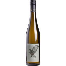 Weingut Kruppenbacher Kalkmeer Riesling 2022 Feinherb - Rheinhessen – Weißwein Qualitätswein