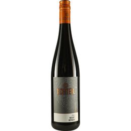 Weingut Echter Regent 2023 Feinherb - Asselheimer St.Stepahn Pfalz &ndash; Rotwein Qualit&auml;tswein