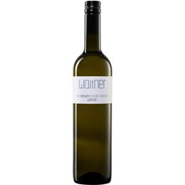 Weingut Gerald Waltner Ried G&ouml;singer Steinbertz Gr&uuml;ner Veltliner 2025 Trocken - Wagram &ndash; Wei&szlig;wein Qualit&auml;tswein