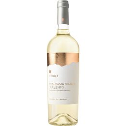 Varvaglione Terra Bianca Salento Malvasia 2025 Trocken - Apulien &ndash; Wei&szlig;wein IGP