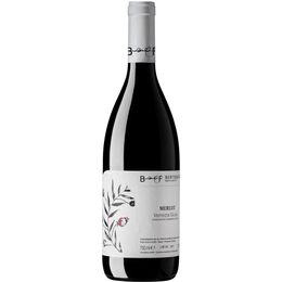 Berto & Fiorella Baccichetto Venezia Giulia Merlot 2024 Trocken - Friaul &ndash; Rotwein IGP