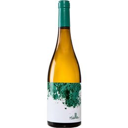 Celler Rialla Terra Alta DO Garnacha Blanca 2024 Trocken - Katalonien &ndash; Wei&szlig;wein DOP
