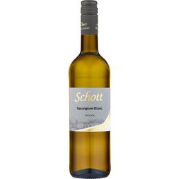 Weingut Schott Sauvignon Blanc 2024 Trocken - Stadecker Rheinhessen &ndash; Wei&szlig;wein Qualit&auml;tswein