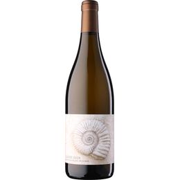 Weingut Haider Thomas Lange Ohn Sauvigon Blanc Reserve Sauvignon 2023 Trocken - Burgenland &ndash; Wei&szlig;wein Qualit&auml;tswein