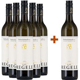 Weingut Regele 5+1 Paket Gelber Muskateller 2024 Trocken - S&uuml;dsteiermark DAC &ndash; Probierpaket Qualit&auml;tswein