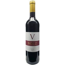 Weingut Volz & Sohn Merlot Trocken - Pfalz &ndash; Rotwein Qualit&auml;tswein