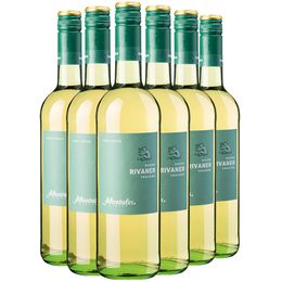Affentaler Winzer Rivaner HAND:WERK M&uuml;ller-Thurgau / 2024 Trocken - Baden &ndash; Probierpaket Qualit&auml;tswein
