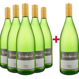 Weingut Bickelmaier 5+1 Paket 1,0 L Riesling 2024 Trocken - Rheingau &ndash; Probierpaket Qualit&auml;tswein