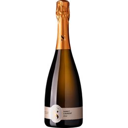 Weingut Martha & Franz Stopfer Sankt Laurent brut Saint 2021 Brut - &ndash; Perl- Schaumwein &Ouml;sterreichischer Sekt