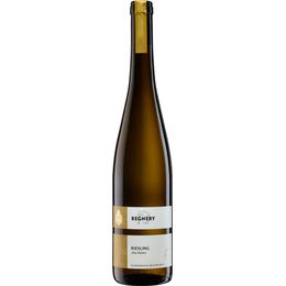 Weingut F-J Regnery Bruderschaft Alte Reben Riesling 2024 Trocken - Kl&uuml;sserather Mosel &ndash; Wei&szlig;wein Auslese