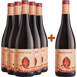 Las Calzadas 5+1 Paket Tin&aacute;cula Red Ribera del J&uacute;car Bobal 2024 Trocken - Kastilien-La Mancha &ndash; Probierpaket DOP