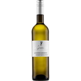 Weingut Eric Gr&uuml;newald Weingut Eric Gr&uuml;newald M&uuml;nster-Sarmsheimer Wei&szlig;er Burgunder Wei&szlig;burgunder 2023 Trocken - Nahe &ndash; Wei&szlig;wein Qualit&auml;tswein