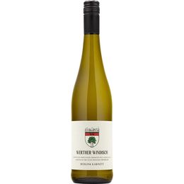 Weingut Werther-Windisch Riesling 2023 Feinherb - Rheinhessen – Weißwein Kabinett