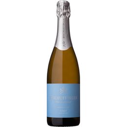 BISCHOFFINGER WINZER Bischoffinger Pinot Jahrgangssekt brut nature Sp&auml;tburgunder 2024 Brut - Enselberg Baden &ndash; Perl- & Schaumwein Sekt b.A.