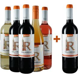 Navarrsotillo Biodynamic & Organic Wines Kennenlernpaket 5+1 2024 Trocken - Navarra &ndash; Probierpaket Diverse