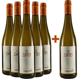 Weingut Echter 5+1 Paket Sylvaner Silvaner 2022 Feinherb - Pfalz &ndash; Probierpaket Qualit&auml;tswein
