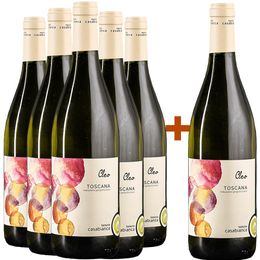 Fattoria Casabianca 5+1 Paket Cleo Toscana Viognier 2022 Trocken - Toskana &ndash; Probierpaket IGP
